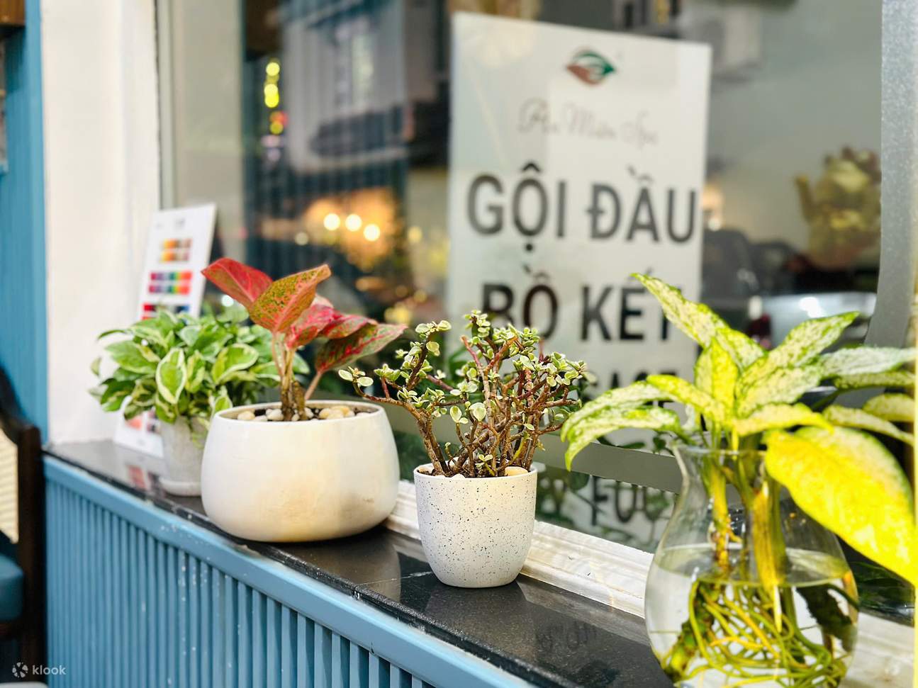 133564-1区のAn Mienハーブヘアウォッシュ＆マッサージ体験 | Klook